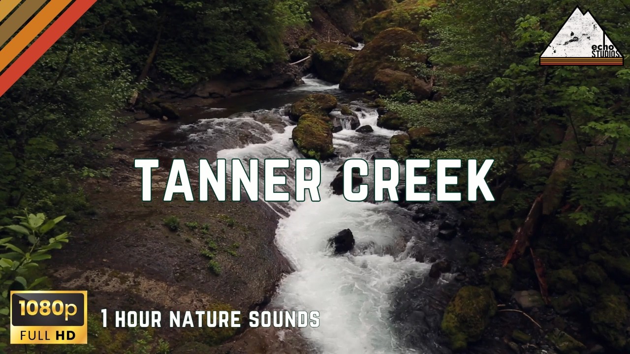 Tanner Creek, Oregon: 1 Hour of Nature Sounds: Relaxing Nature Ambience ...