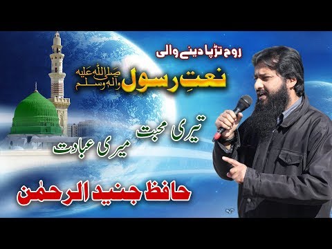 Teri Mohabbat Meri Ibadat by Hafiz Junaid Ur Rehman ||نعت: تیری محبت میری عبادت - حافظ جنید الرحمن