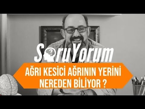 SoruYorum - Ağrı Kesici Ağrımızın Yerini Nereden Biliyor ?
