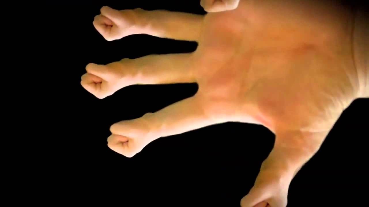 Animation Cyriak (Hand Fingers) - YouTube