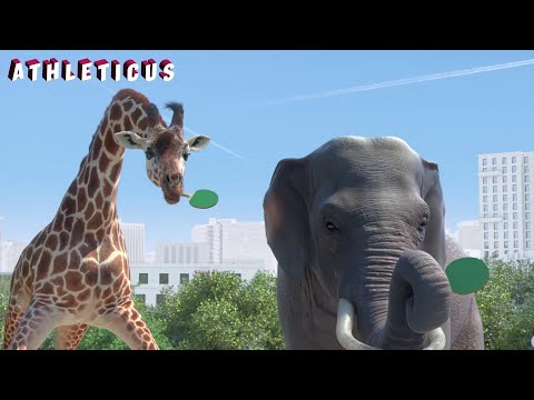 Ping Pong Trouble | Athleticus | Sport animals | Cartoon in English