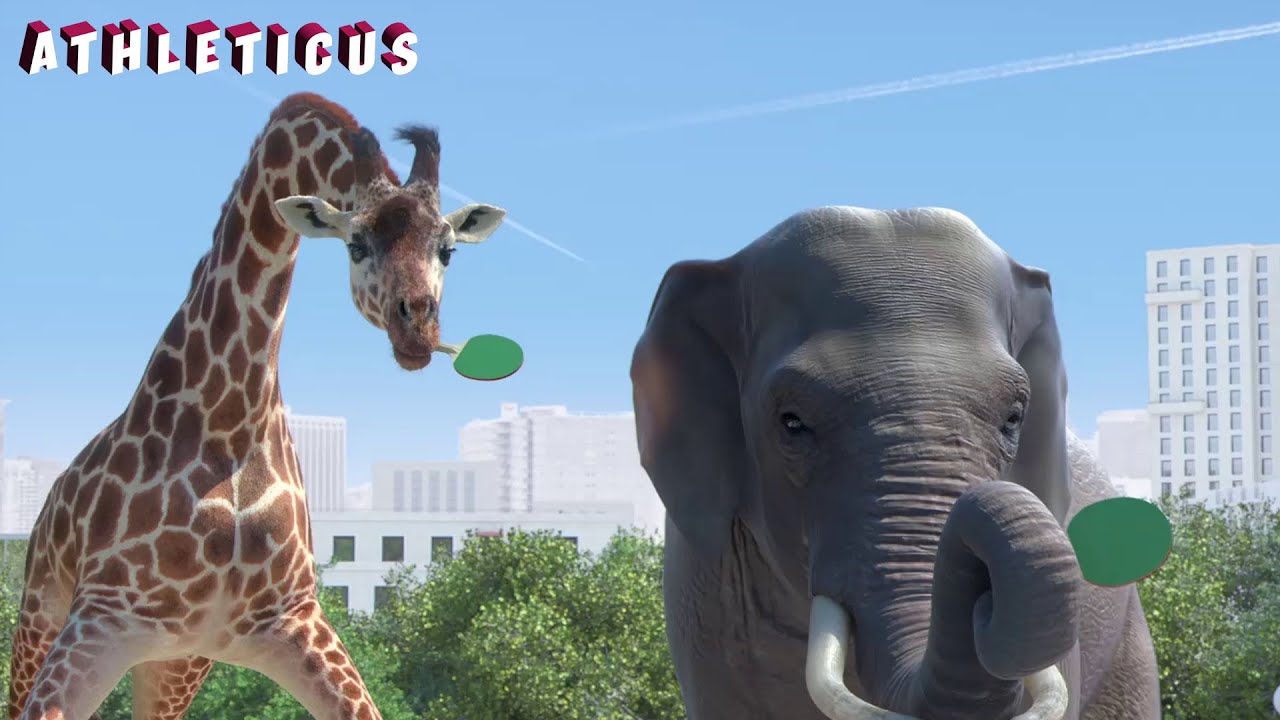 Ping Pong Trouble | Athleticus | Sport animals | Cartoon in English ...