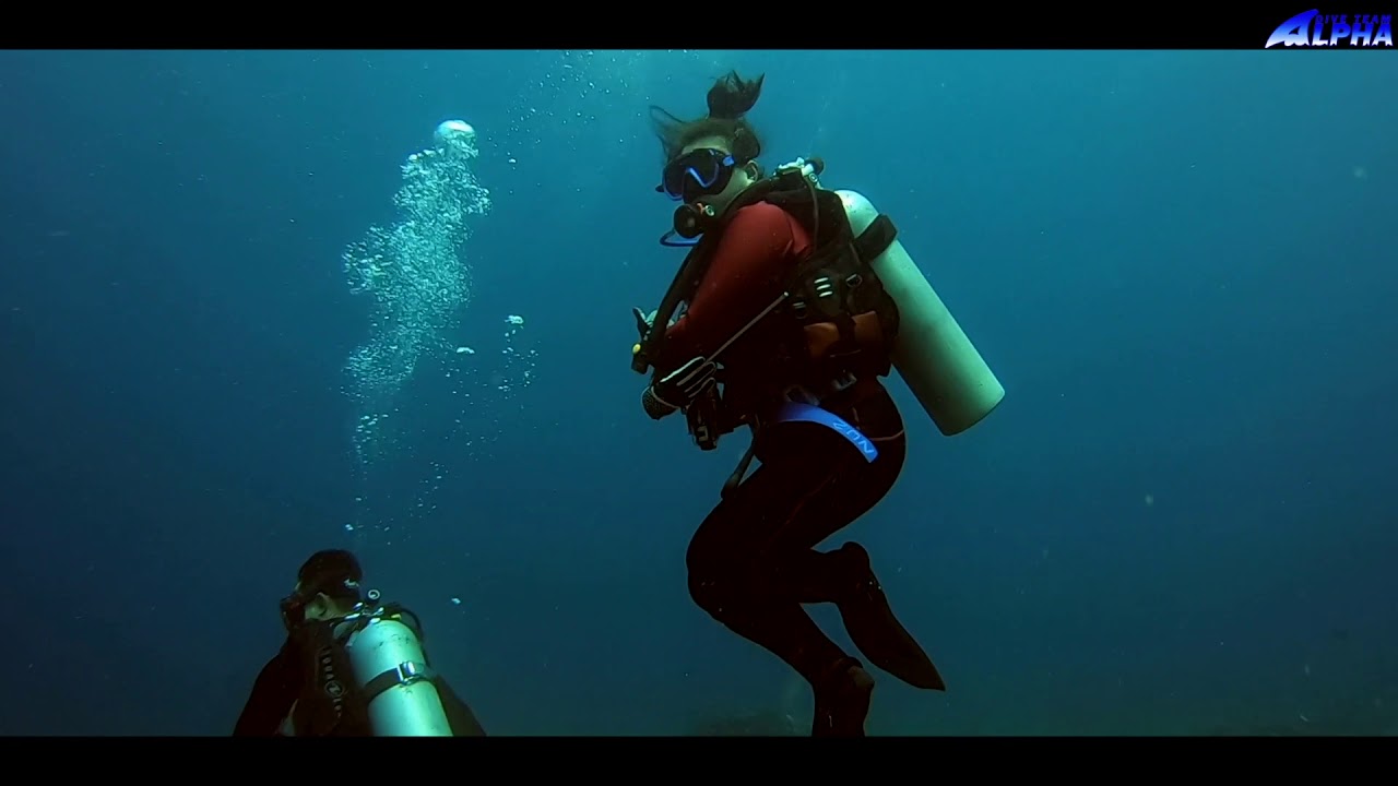 Diving Nusa Penida With Daphne And Friends Alphadivebali 6 Feb 2020 ...