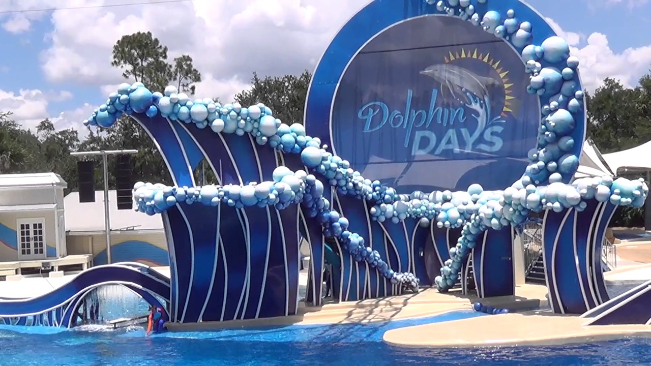 Dolphin Days - Dolphin Show @ Sea World Orlando - YouTube