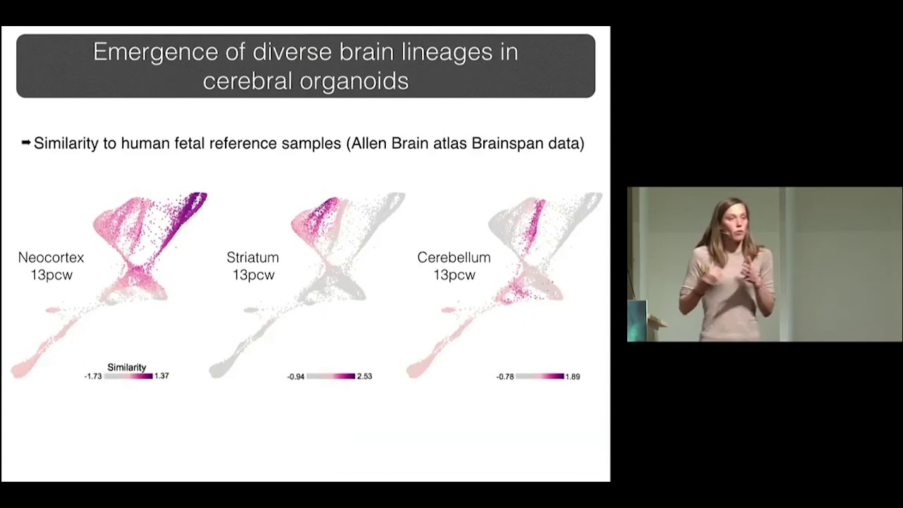 Barbara Treutlein, ETH Zurich, Switzerland - YouTube