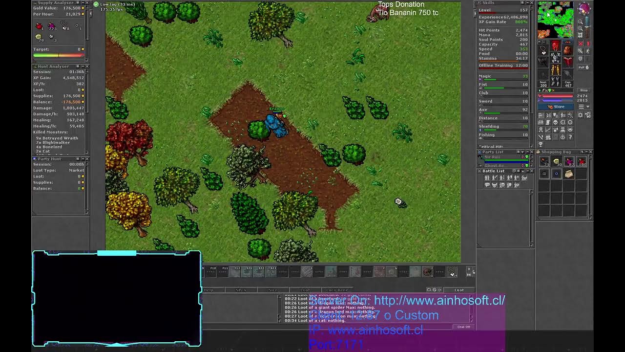 Tibia - The Last Rookgard UPDATE - YouTube