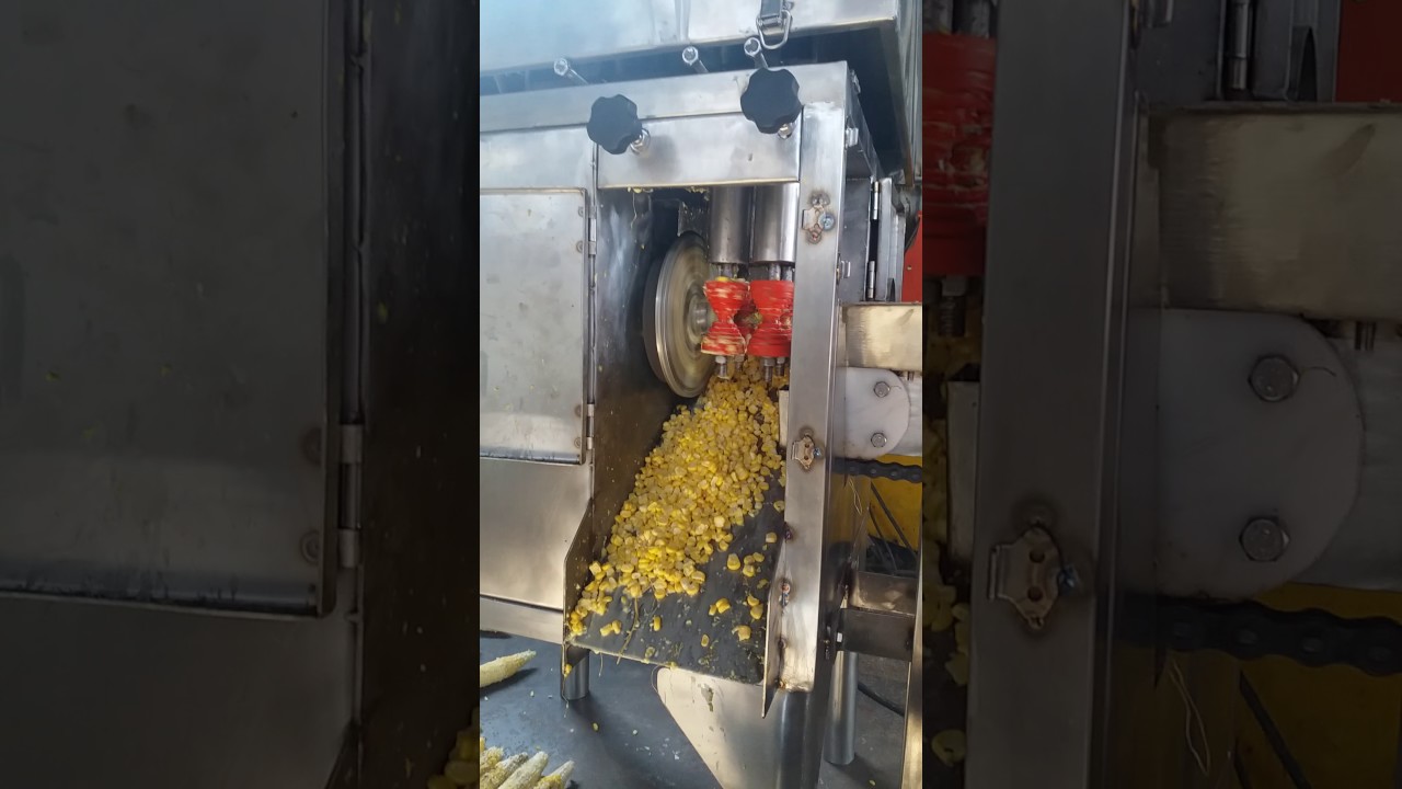 Sweet Corn cutting machine - YouTube