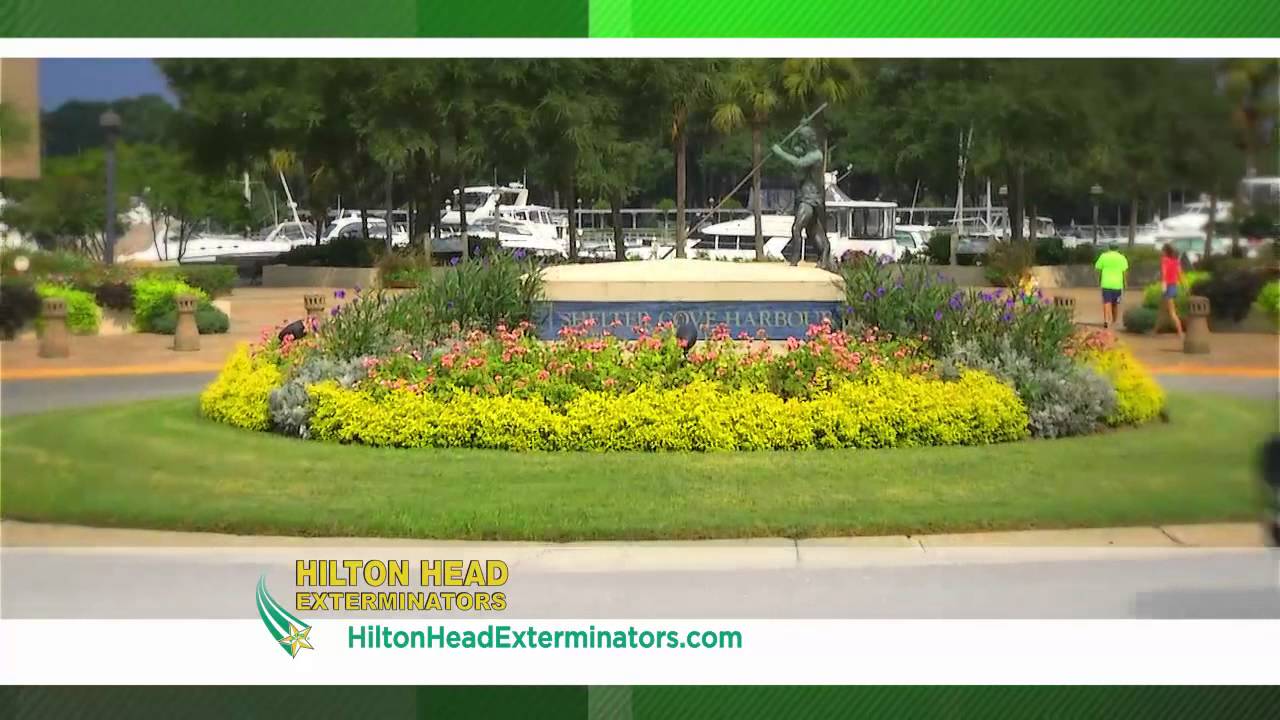 Hilton Head Exterminators - They Are Everywhere - YouTube