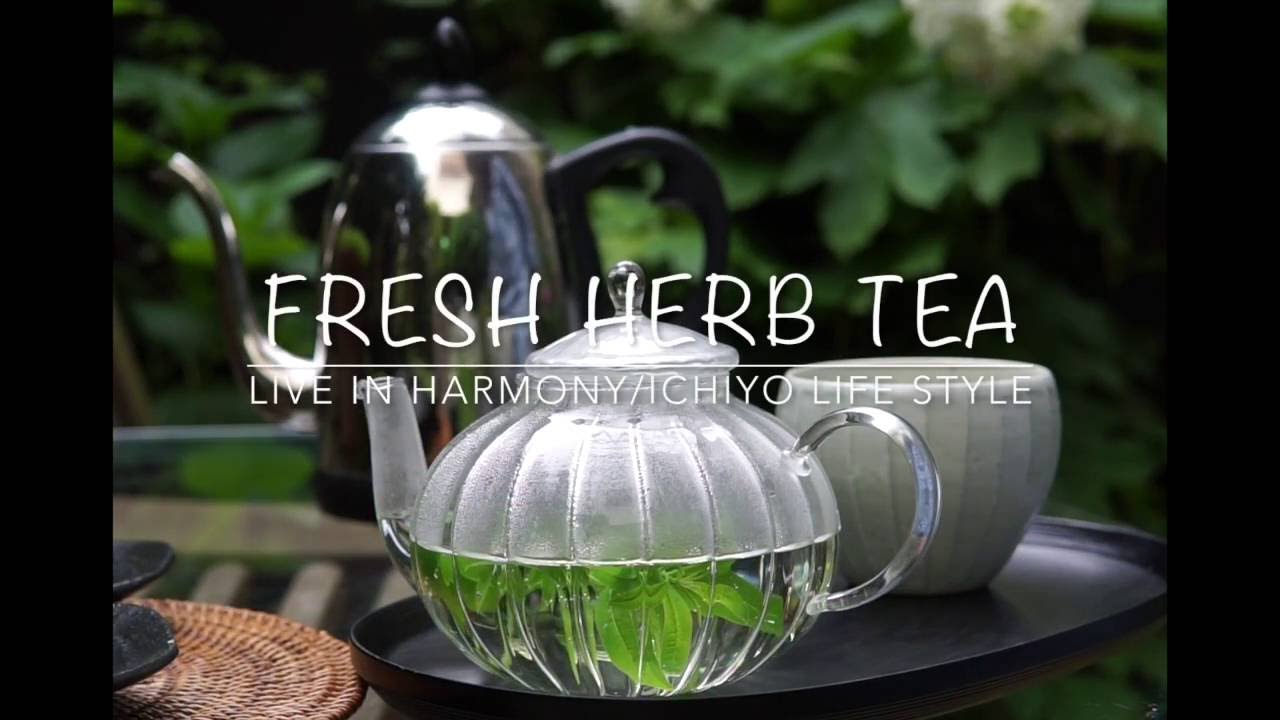 Fresh herb tea/フレッシュハーブティー - YouTube