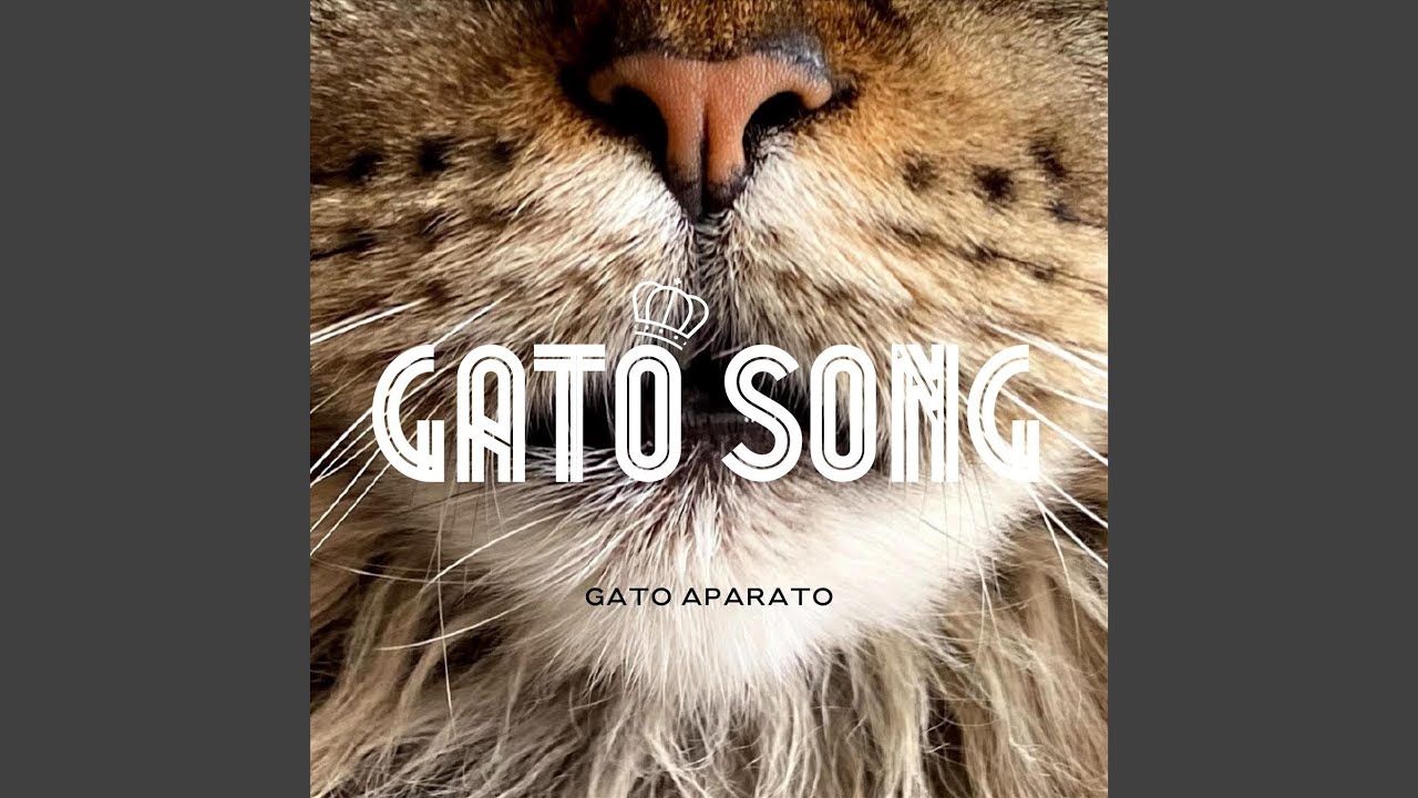 Gato Song - YouTube