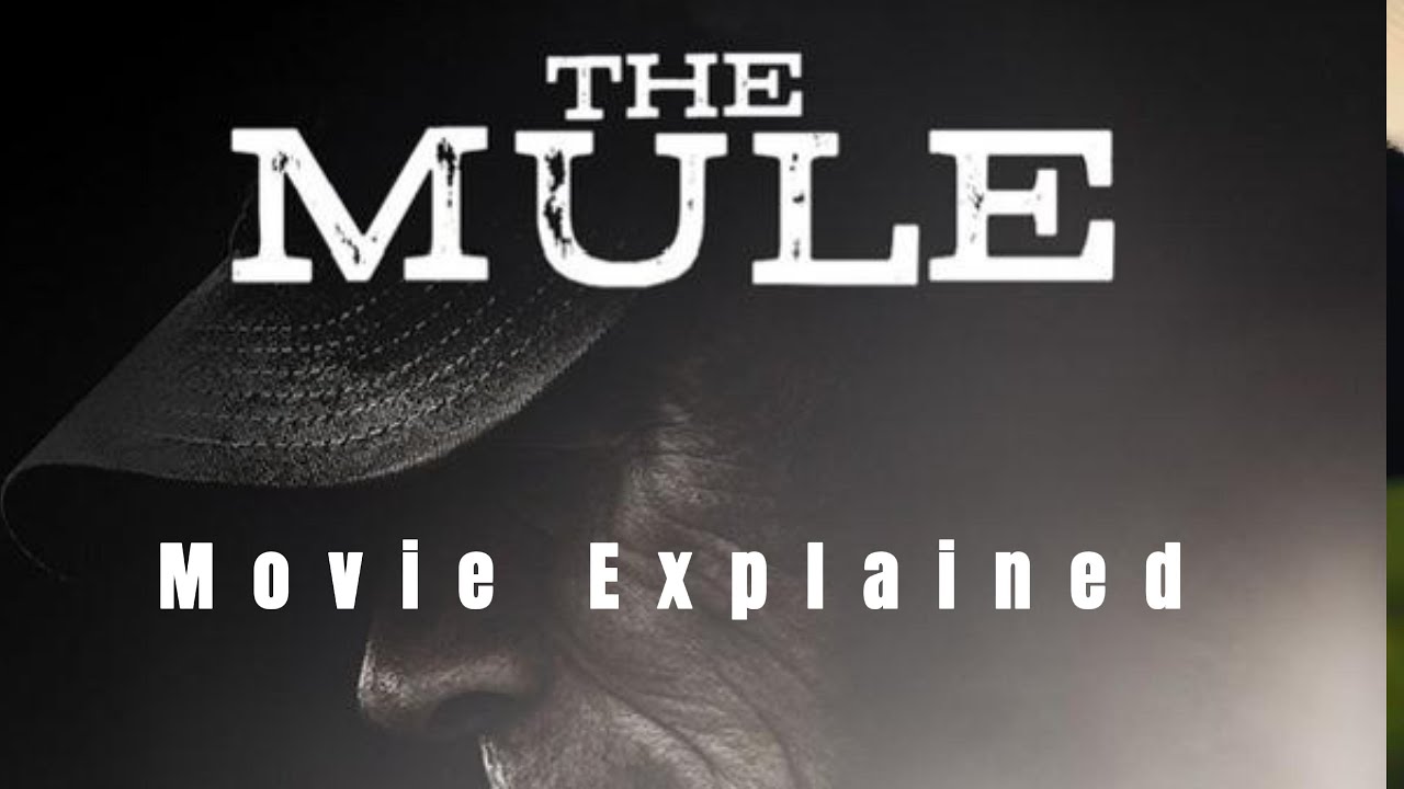 The Mule Full Movie Explained - YouTube