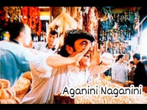 Aganigi Naganini - Fındık Reklamı