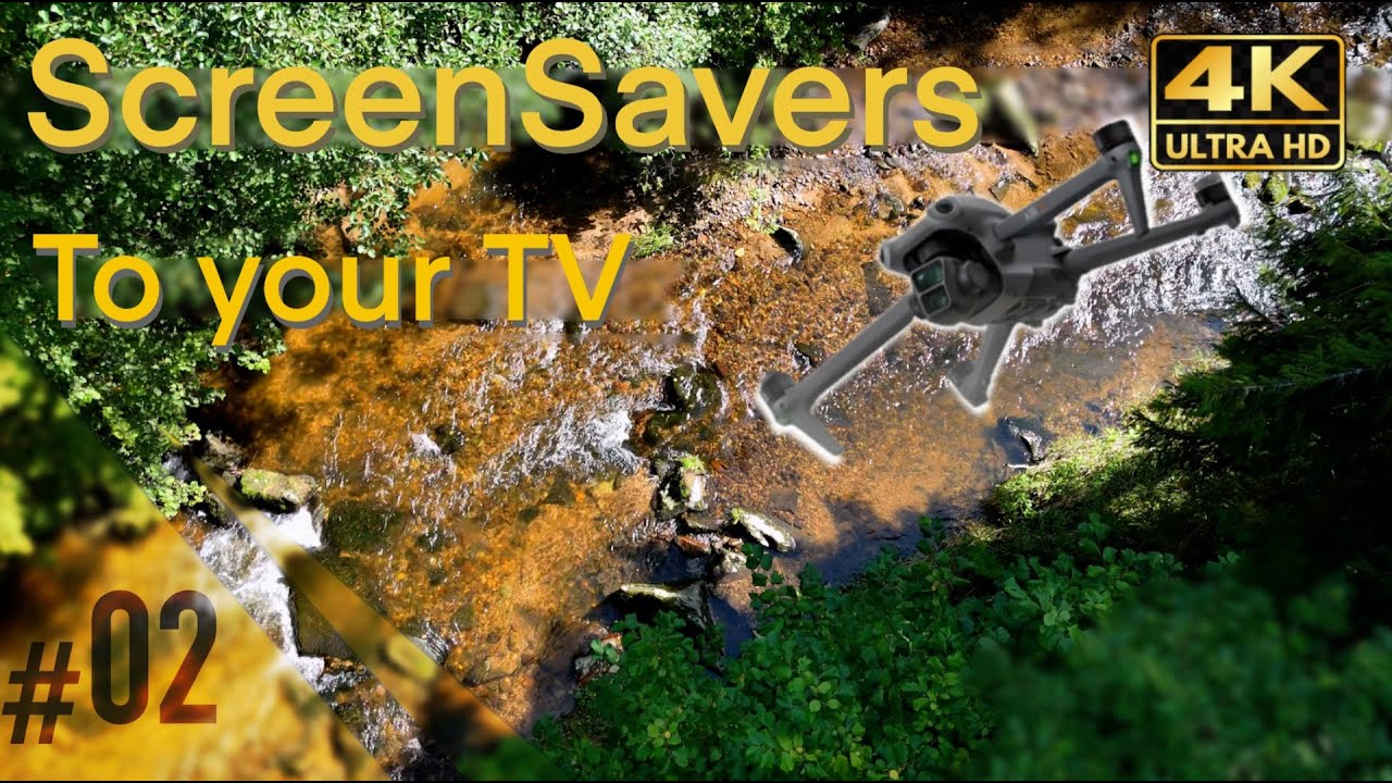 Screensaver - Forest stream - Amazing Nature, Relaxation film with ...