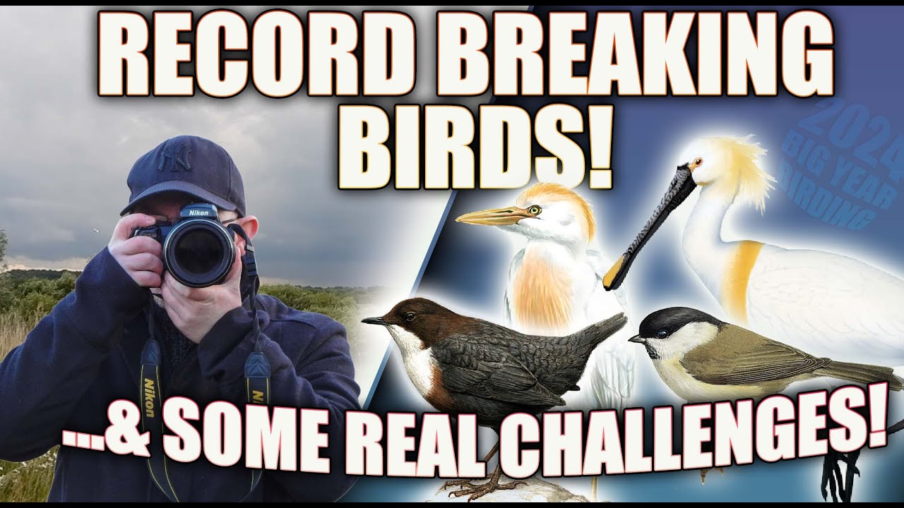 RECORD BREAKING BIRDS & SOME BIG BIRDING CHALLENGES! - YouTube