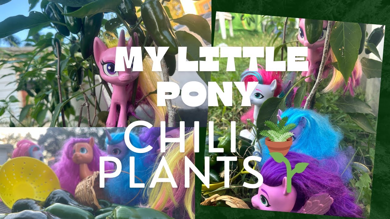 My little pony harvesting chilies 🌶️:play with my sister - YouTube