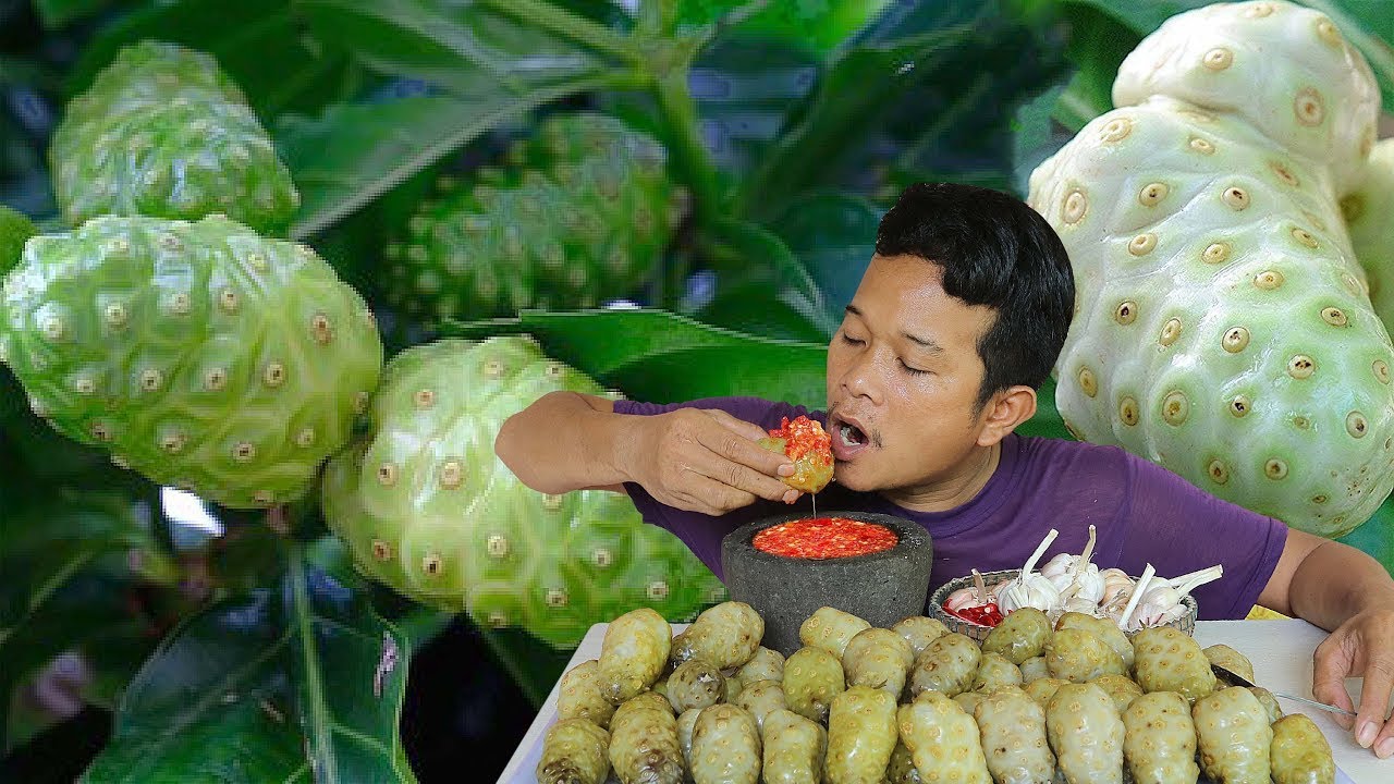 Yummy noni fruits Vs spicy chili salt, noni healthy fruits ...