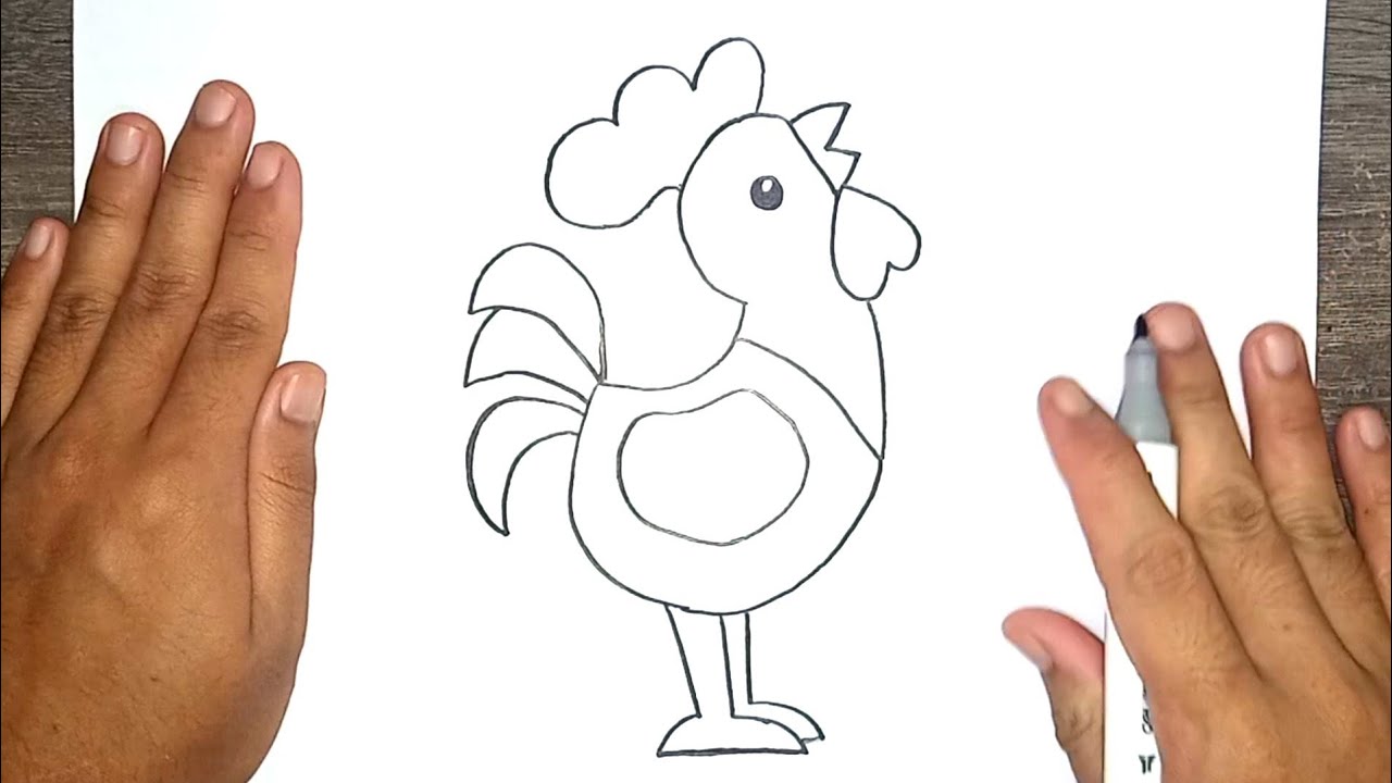How To Draw Chicken Easily | Cara Menggambar Ayam Dengan Mudah - YouTube