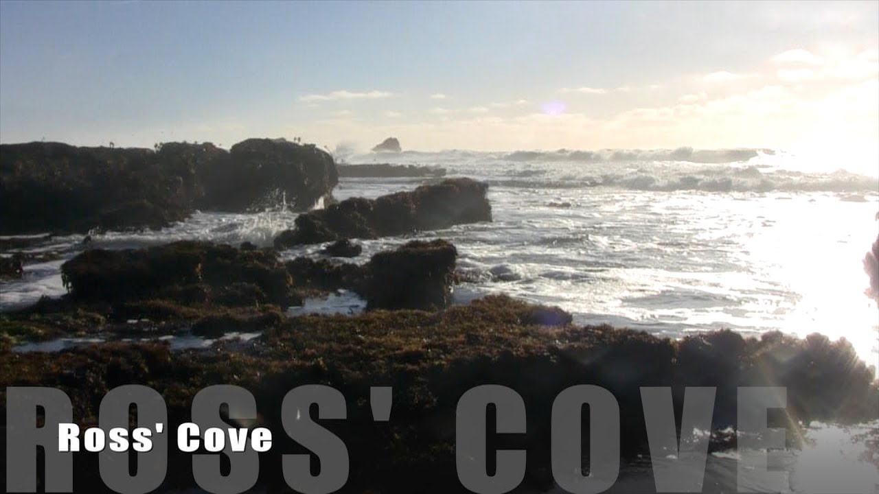 Ross Cove Surf - YouTube