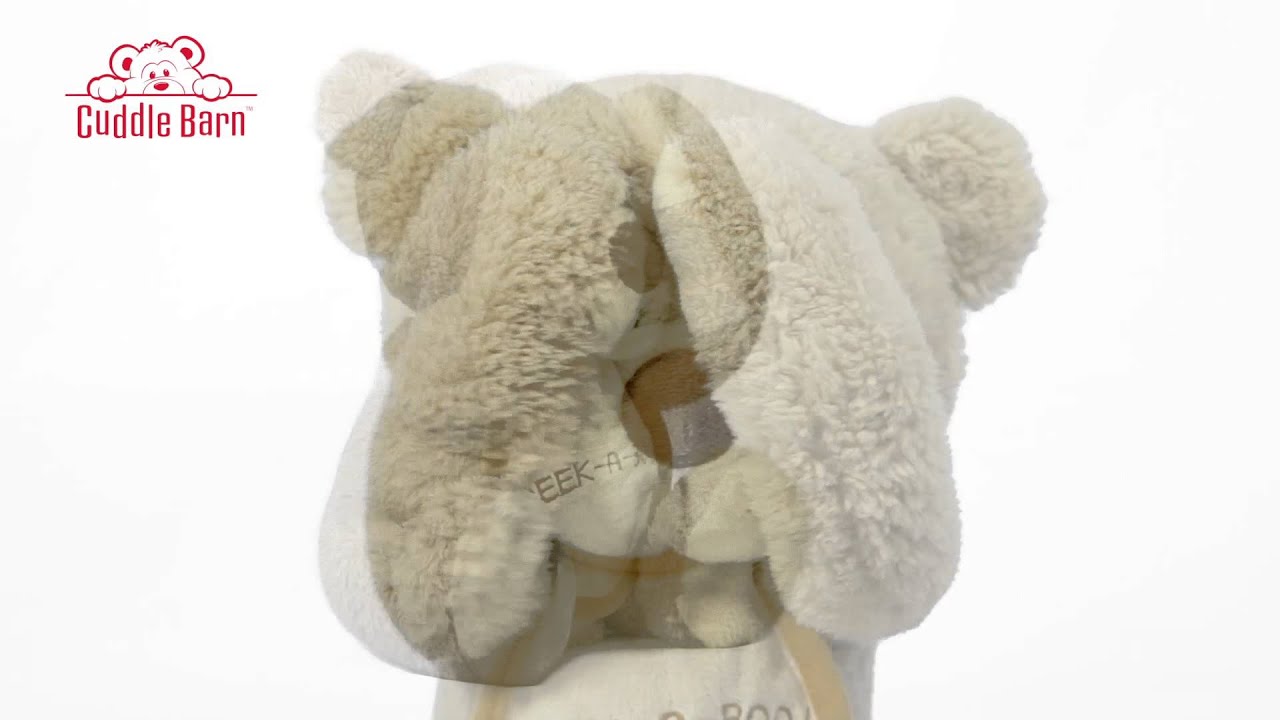 Cuddle Barn - Baby Boo Bear - YouTube