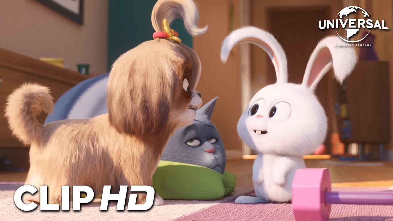 MASCOTAS 2 - Clip 1 "Daisy necesita ayuda del Capitán Pompón" - YouTube