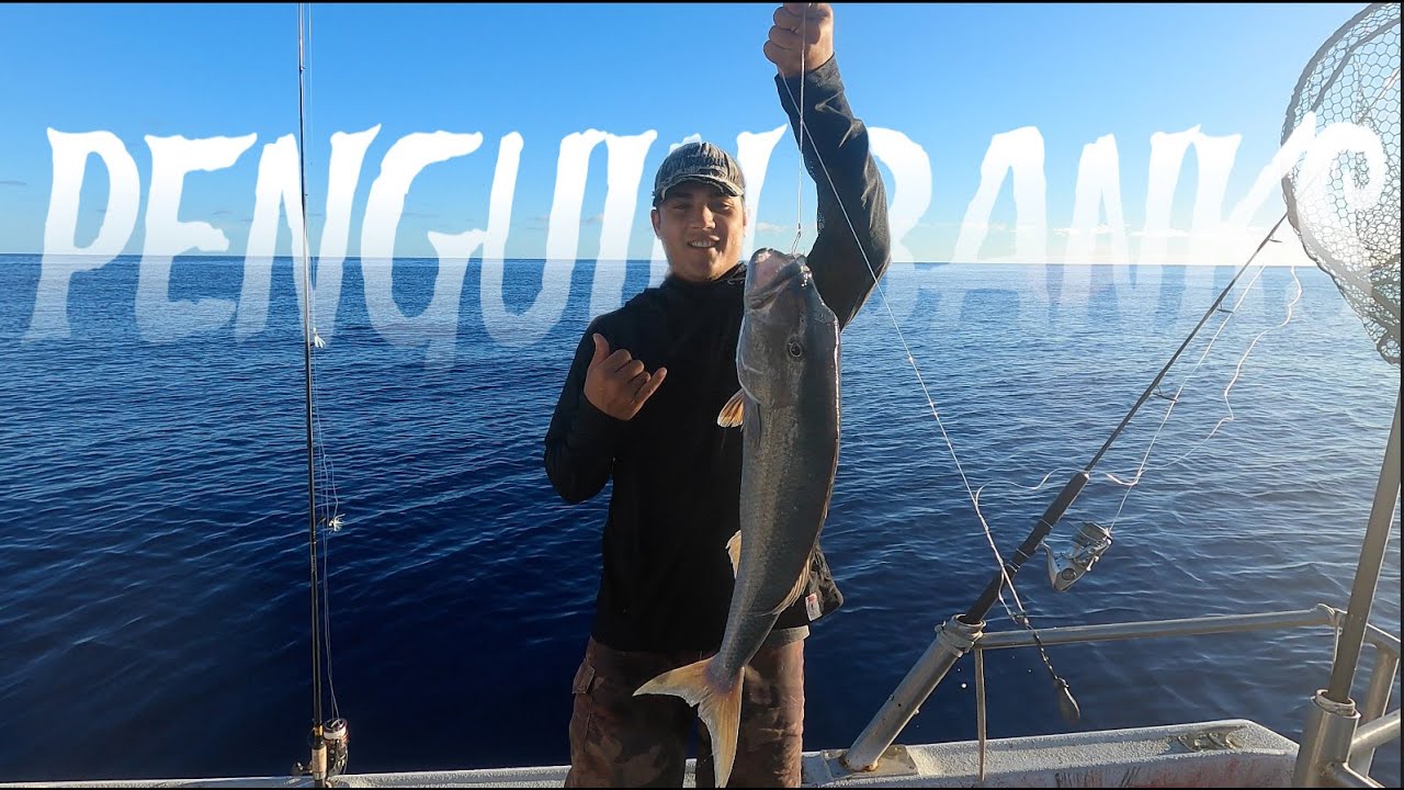 Fishing for Uku/Green job fish In Hawaii - YouTube