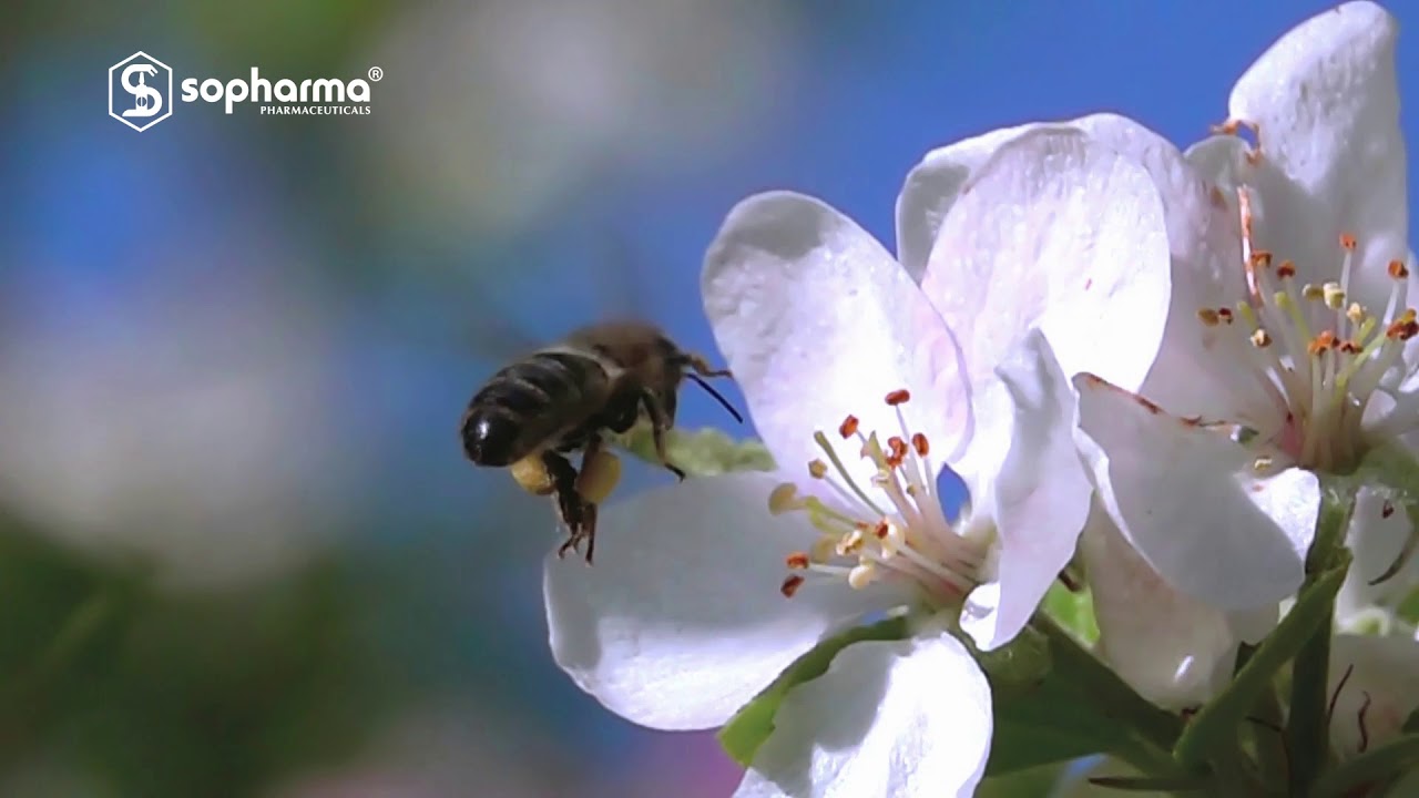 Allergosan cream - YouTube
