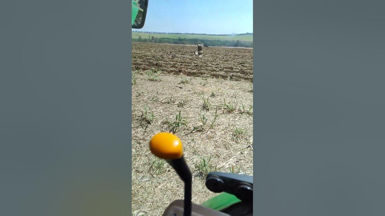 #music #youtube #agro #youtubeshorts - YouTube