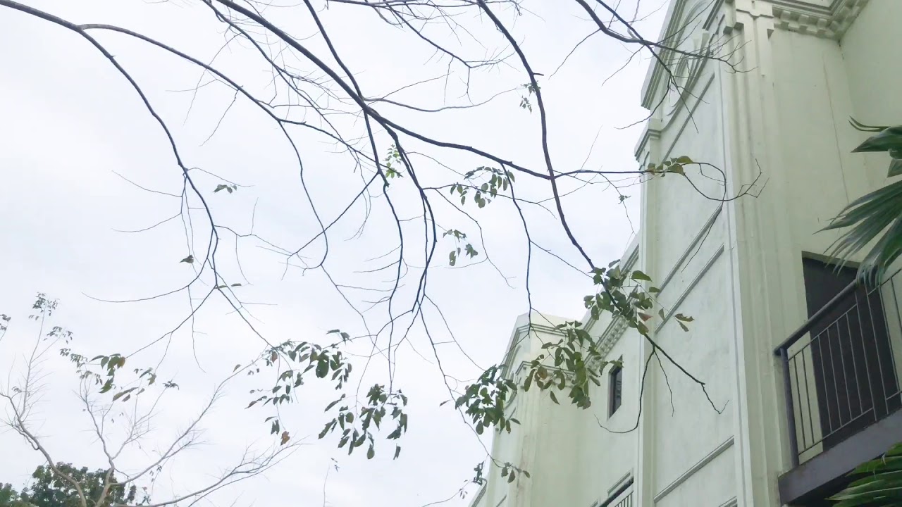 "BAHALA KA" DanceCover by Team Humble - YouTube Music