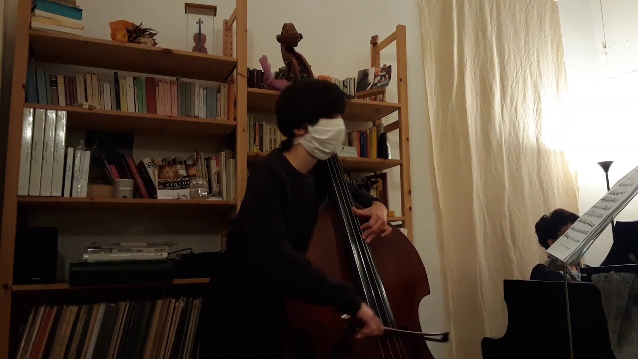 Domenico Dragonetti Double Bass concerto in G Major, op 1 - YouTube
