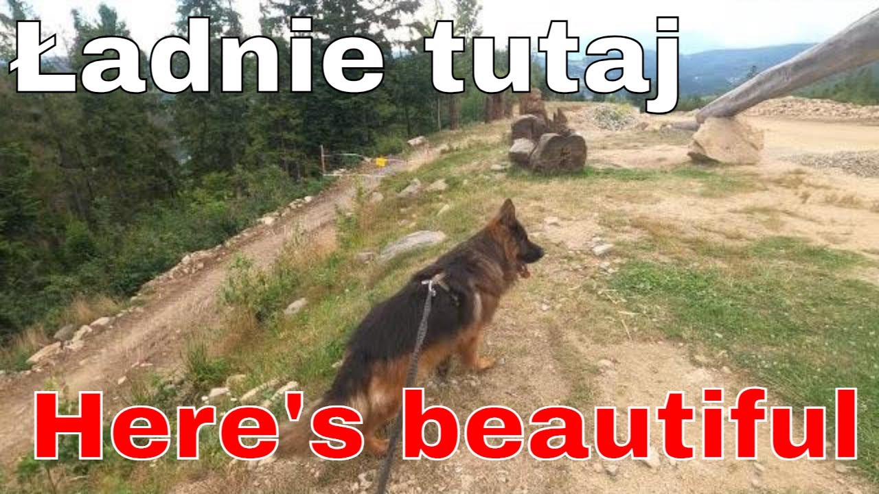 Major odwiedza miasto Wisła i idzie w góry/Major visits the Wisla town ...