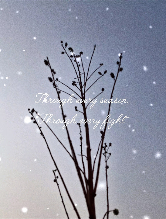 let YAMF be the melody that carries your heart into FOREVER. producer: @theoptimistprod 31.12. ...