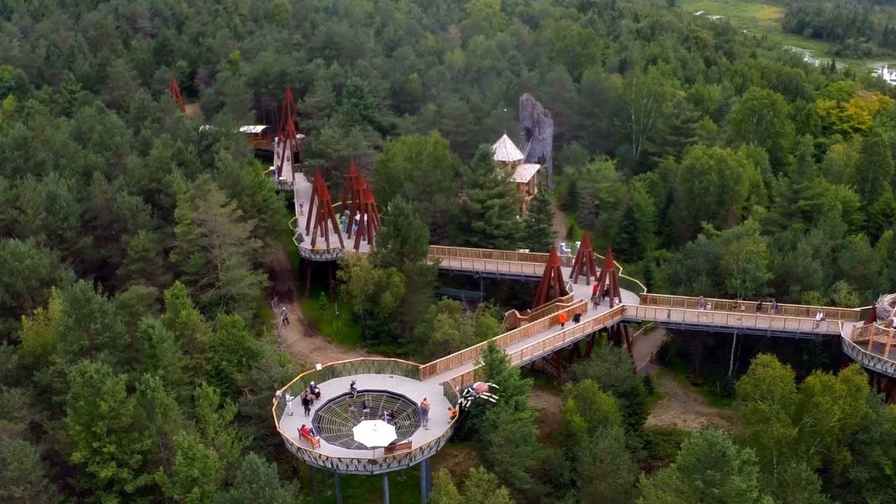 WALK ON THE WILD SIDE - YouTube