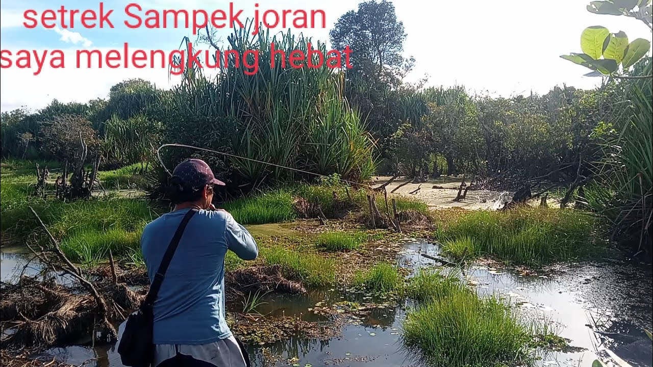 mancing di sepot air baru naik ikanya keluwar dari sarang pul setrek - YouTube