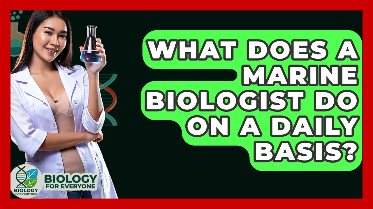 What Does A Marine Biologist Do On A Daily Basis? - Biology For ...