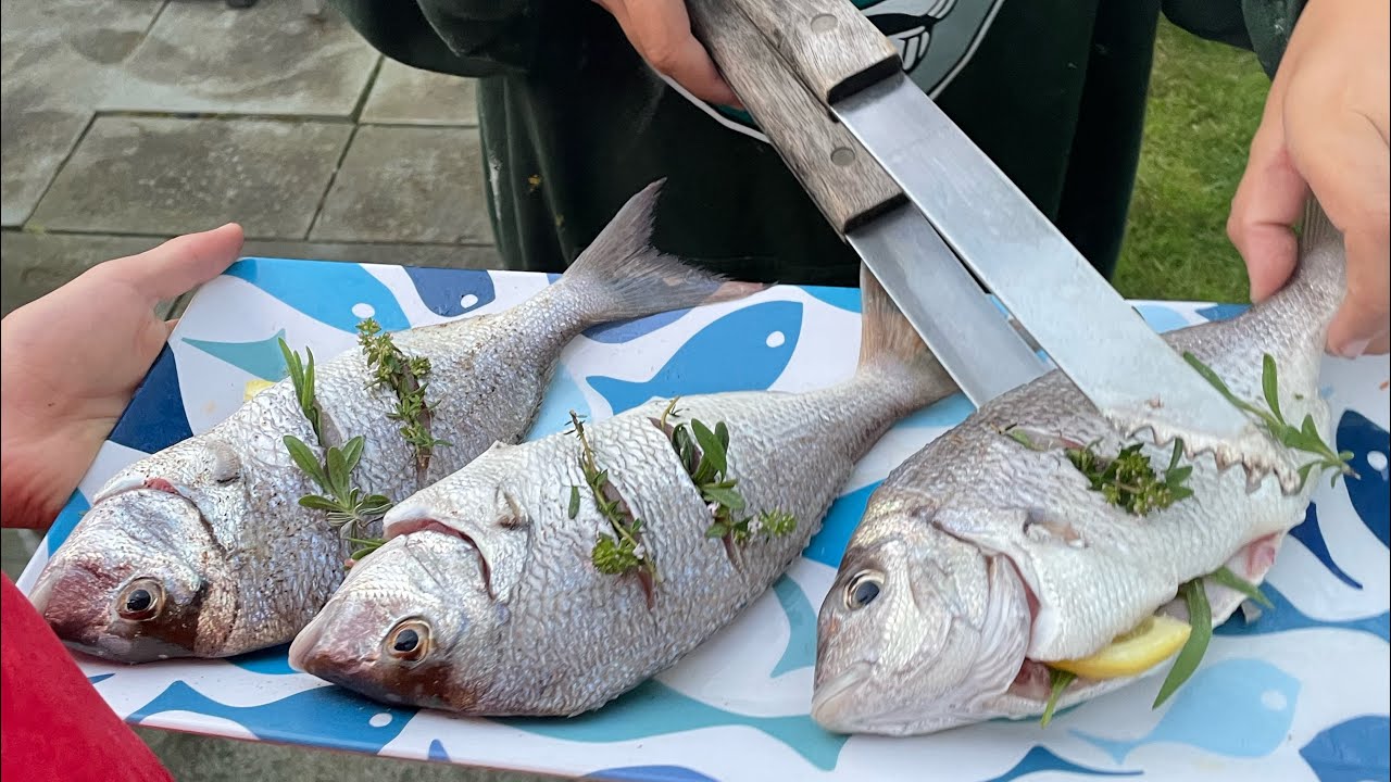 Porgy catch clean and cook!! - YouTube