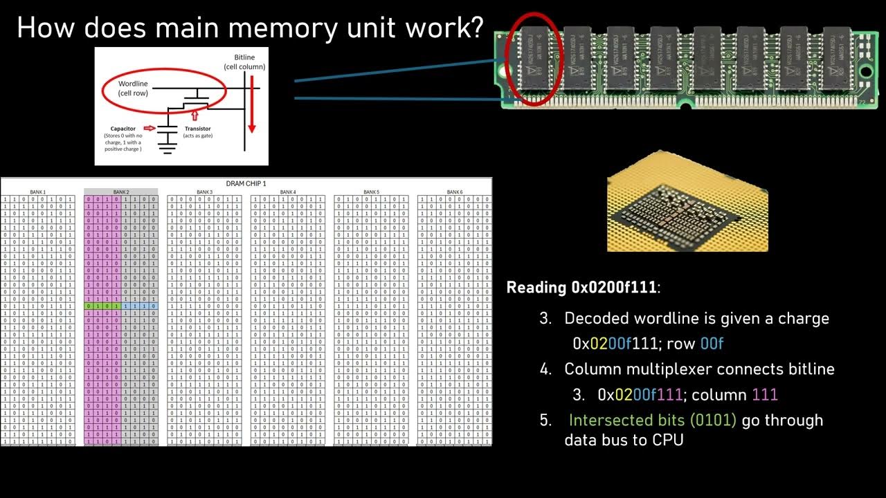 Computer Memory - An introduction to RAM, DRAM, SRAM, the Memory Hierarchy, Caches, and DDR5 RAM ...