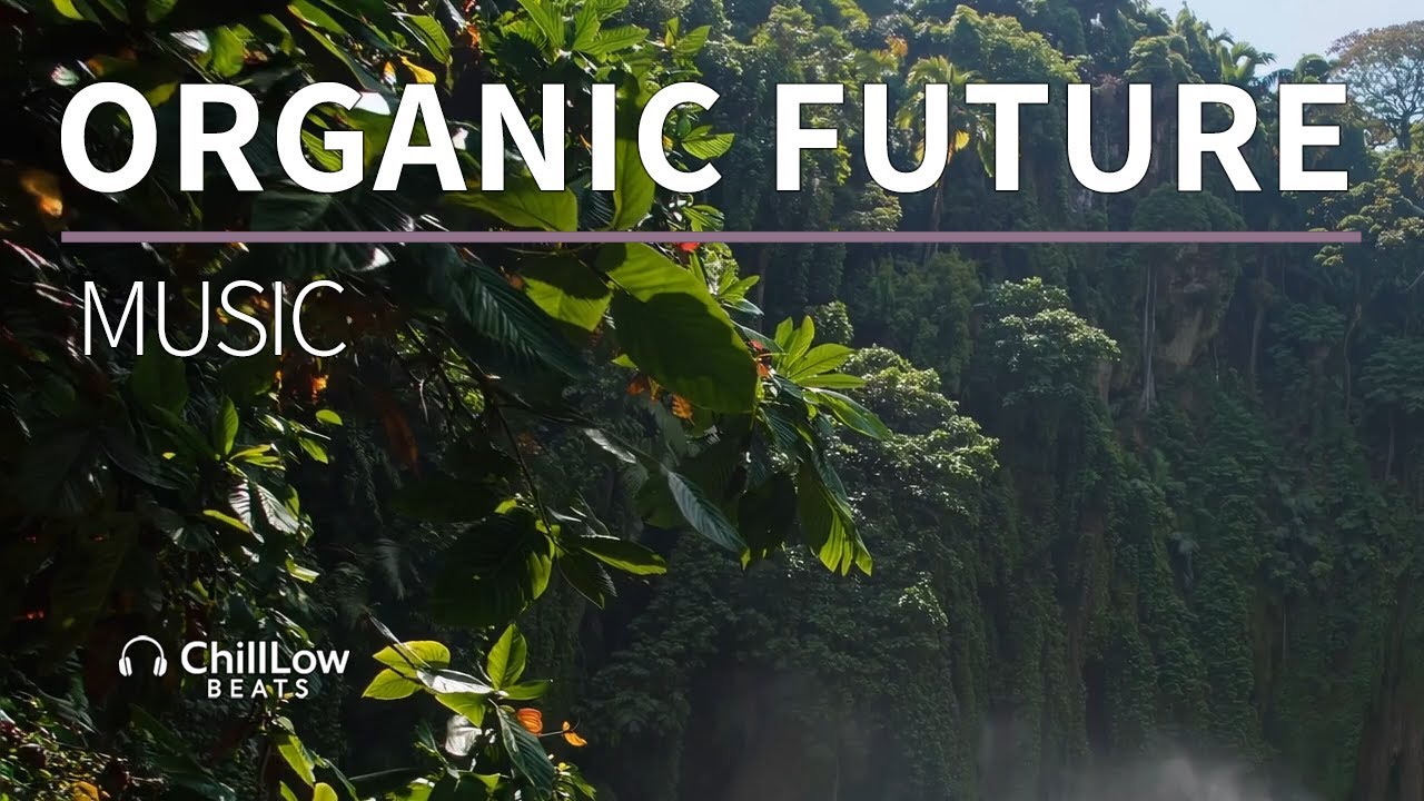 Chillstep Beats for Work – Focus Music & Relaxed Atmosphere 43.13 - YouTube