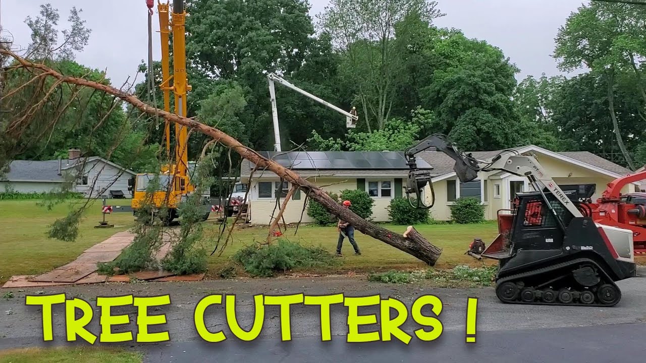 Chain Saws, Wood Chippers, Skid steer & More! Watch a TREE REMOVAL ...