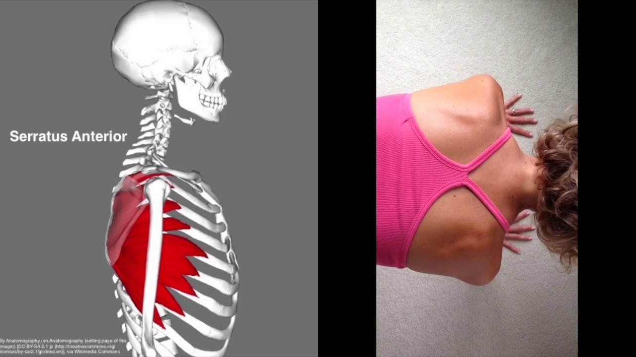 Assessment and Correction of Scapular Instability - YouTube