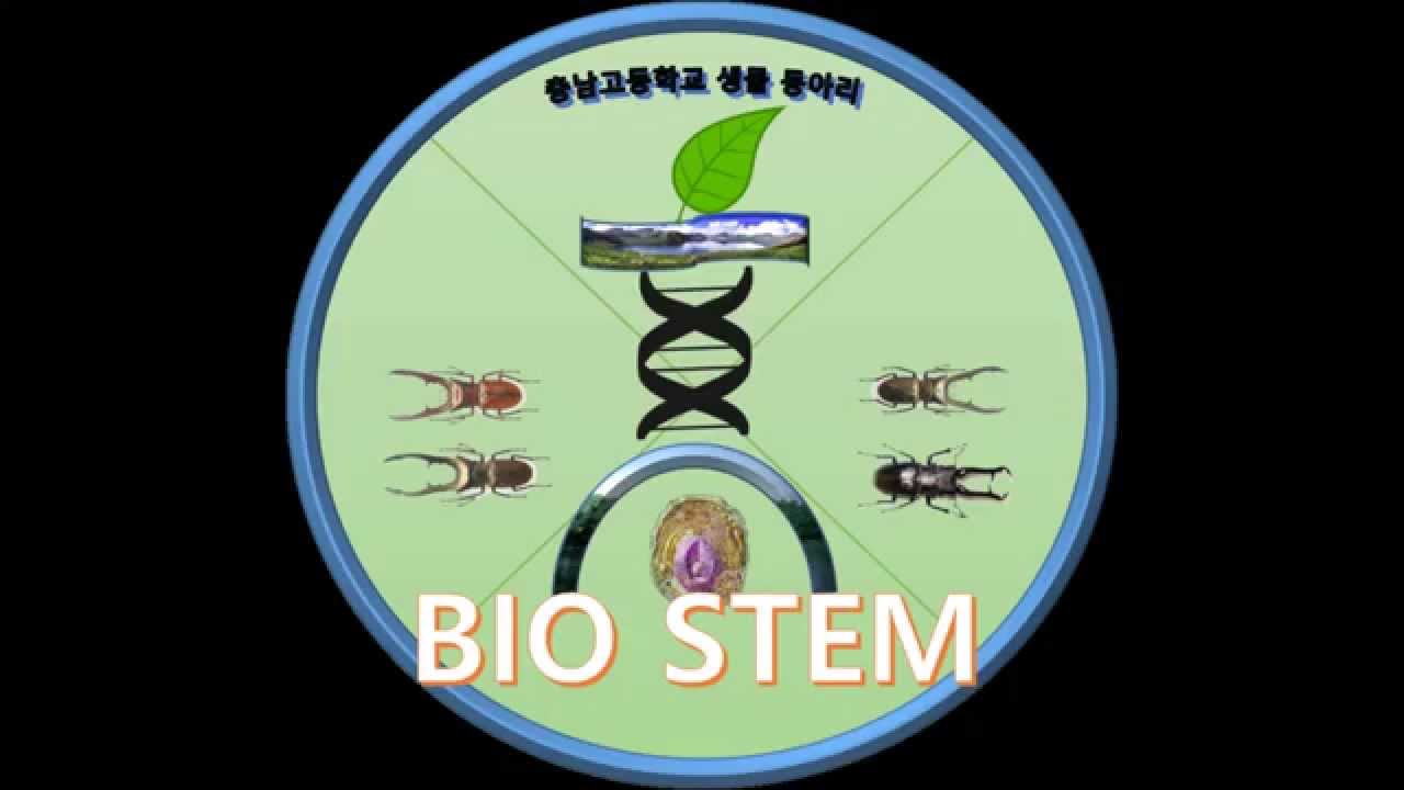 BIO STEM - YouTube
