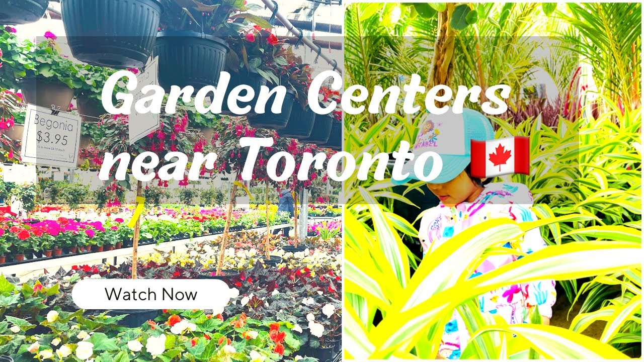 Huge collections of plants near Toronto | check out these garden center ...
