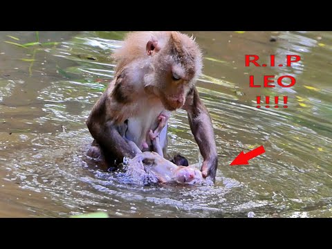 mom Libby Train baby how to swim
