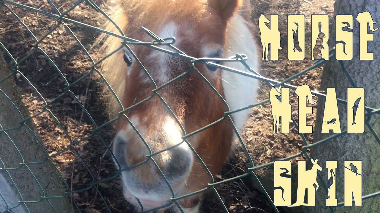 Fall Guys S6 - Royal's Highlights Part 48 - YouTube