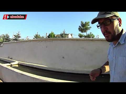 GÖZBABA KÖYÜNDE KISA GEZİNTİ