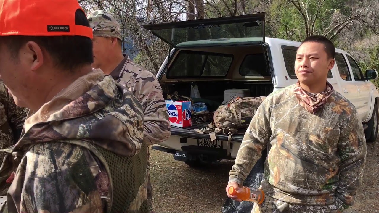 Hmong Sacramento hunting (bandtail pigeon 12/15/18) - YouTube