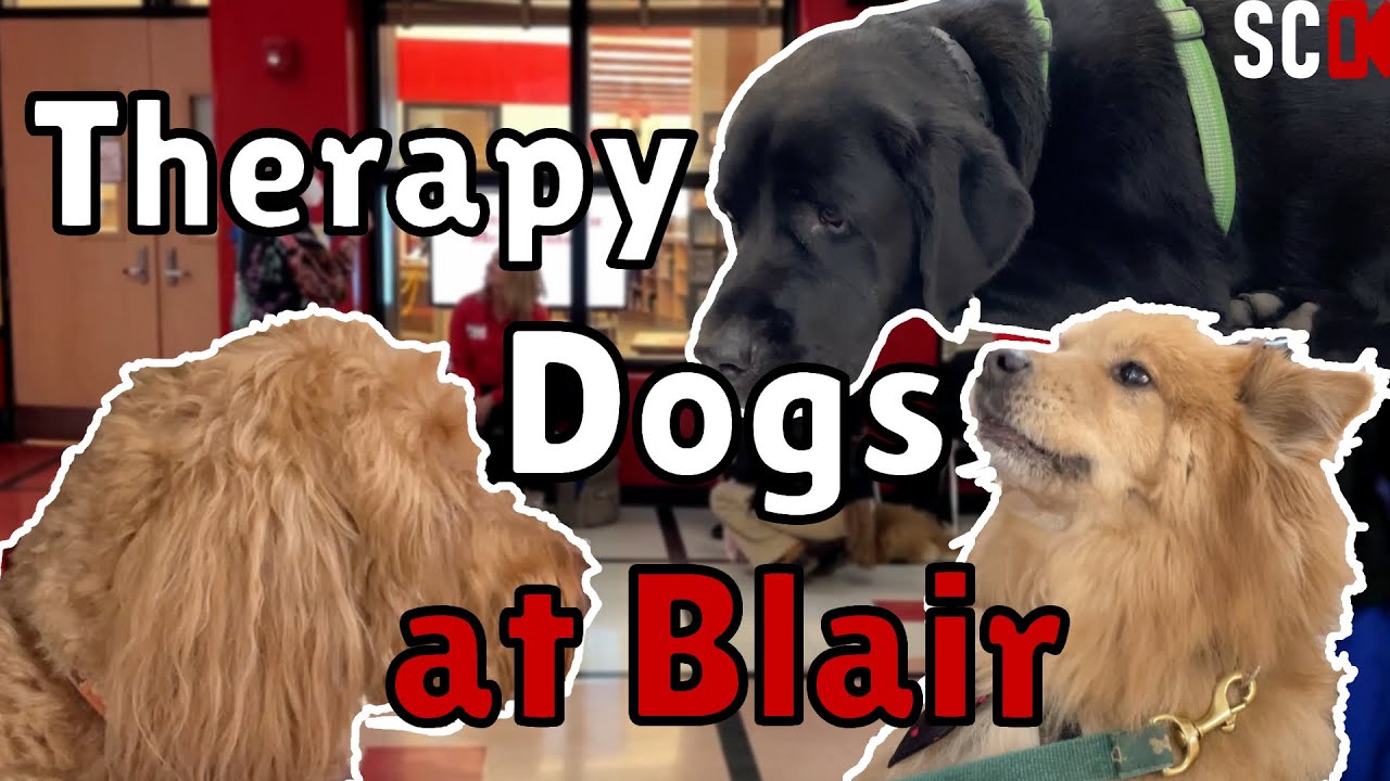 Therapy Dogs at Blair - YouTube