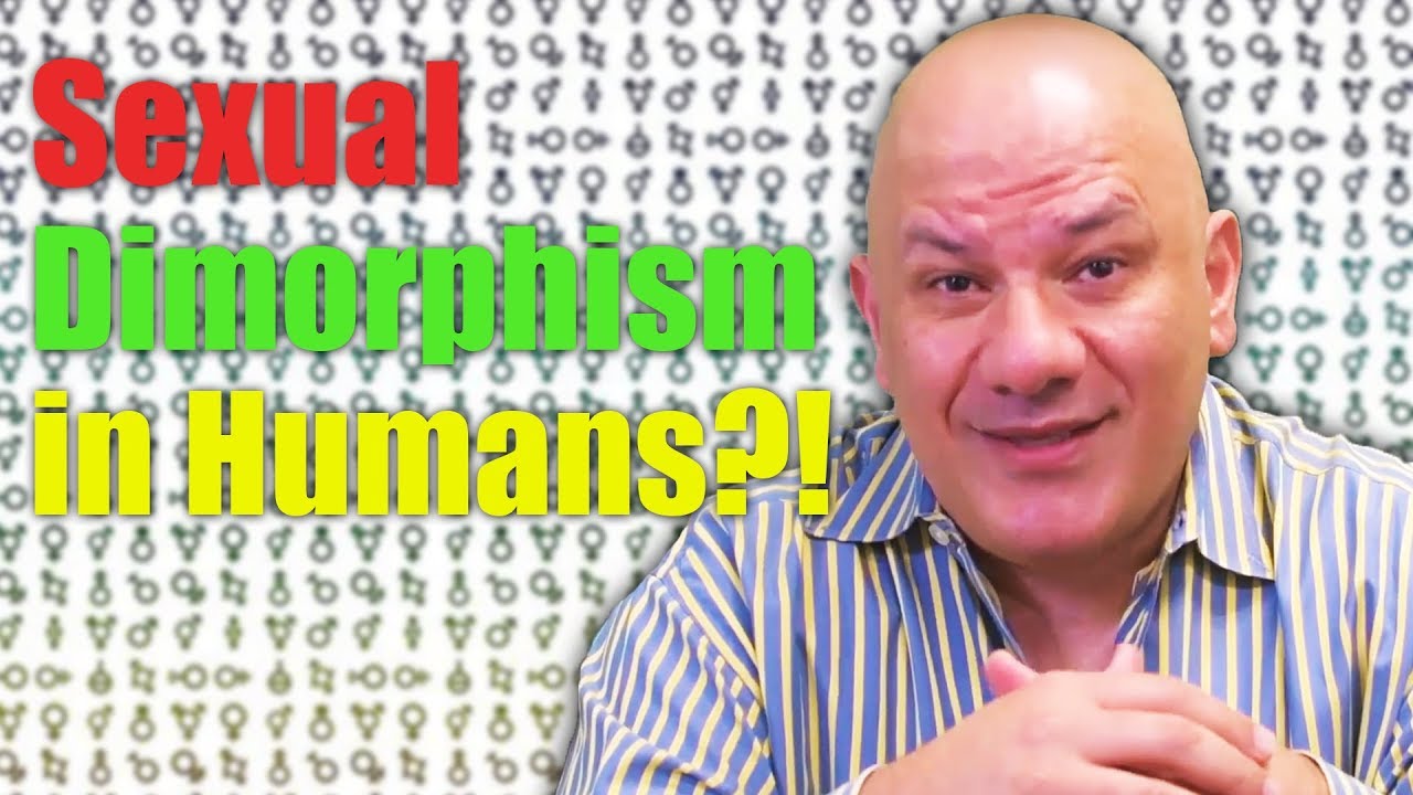 How Sexual Dimorphism in Humans Can Lead to Better Relationships! - YouTube