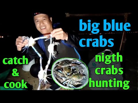 big blue crabs night crabs hunting catch and cook - YouTube