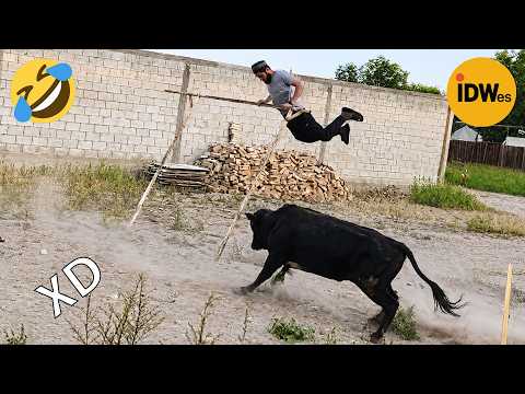 VIDEOS DE RISA 😎 SI TE RÍES PIERDES NIVEL DIOS #492 🤣 HUMOR VIRAL MEXICANO🤣