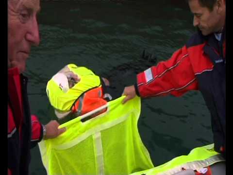 SeaSafe MOB rescued by the HypoHoist - Pilot falls off Pilot Ladder ...